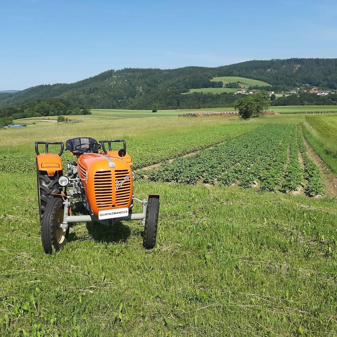 Oldtimertage 2025 | Steyr T188